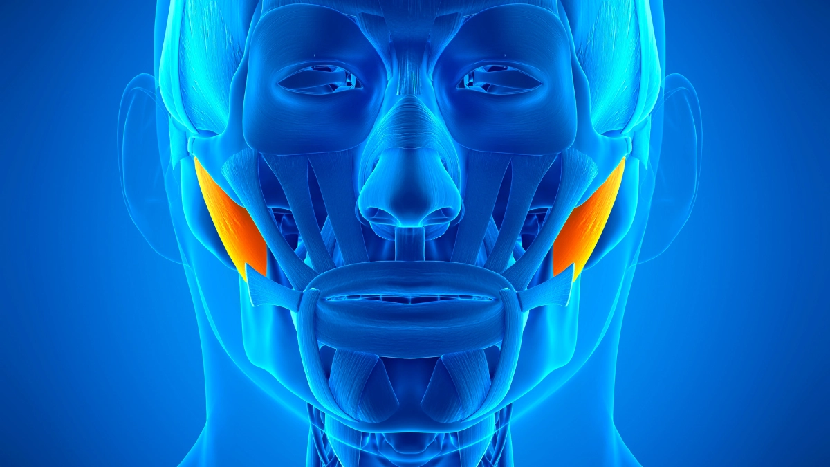 Facial Muscle Ailments | Kobido Kat